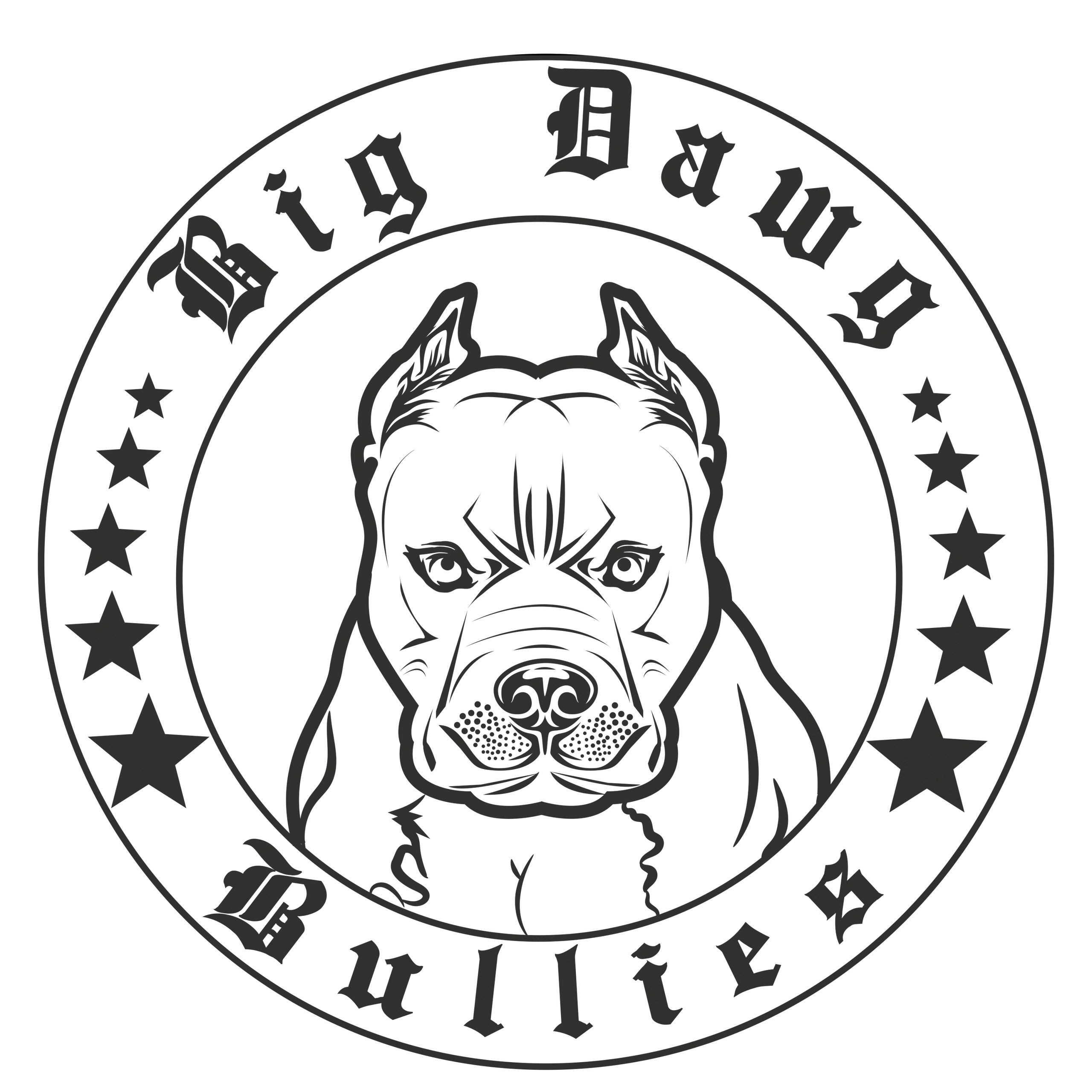 BIGXLBULLIES Bully Puppies For Sale Bossy s Bloodline American bigxlbullies-bully-puppies-for-sale-bossy-s-bloodline-american